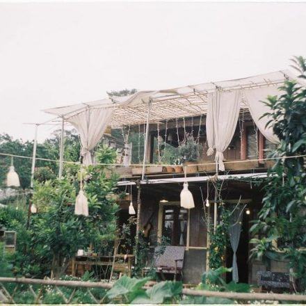 NOU Cafe - Khoe Quán